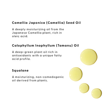 Fortify, Face Oil - Stratia